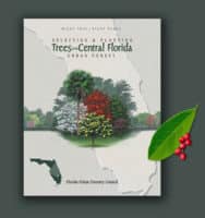 Right Tree, Right Place Planting Guide and Poster | FUFC