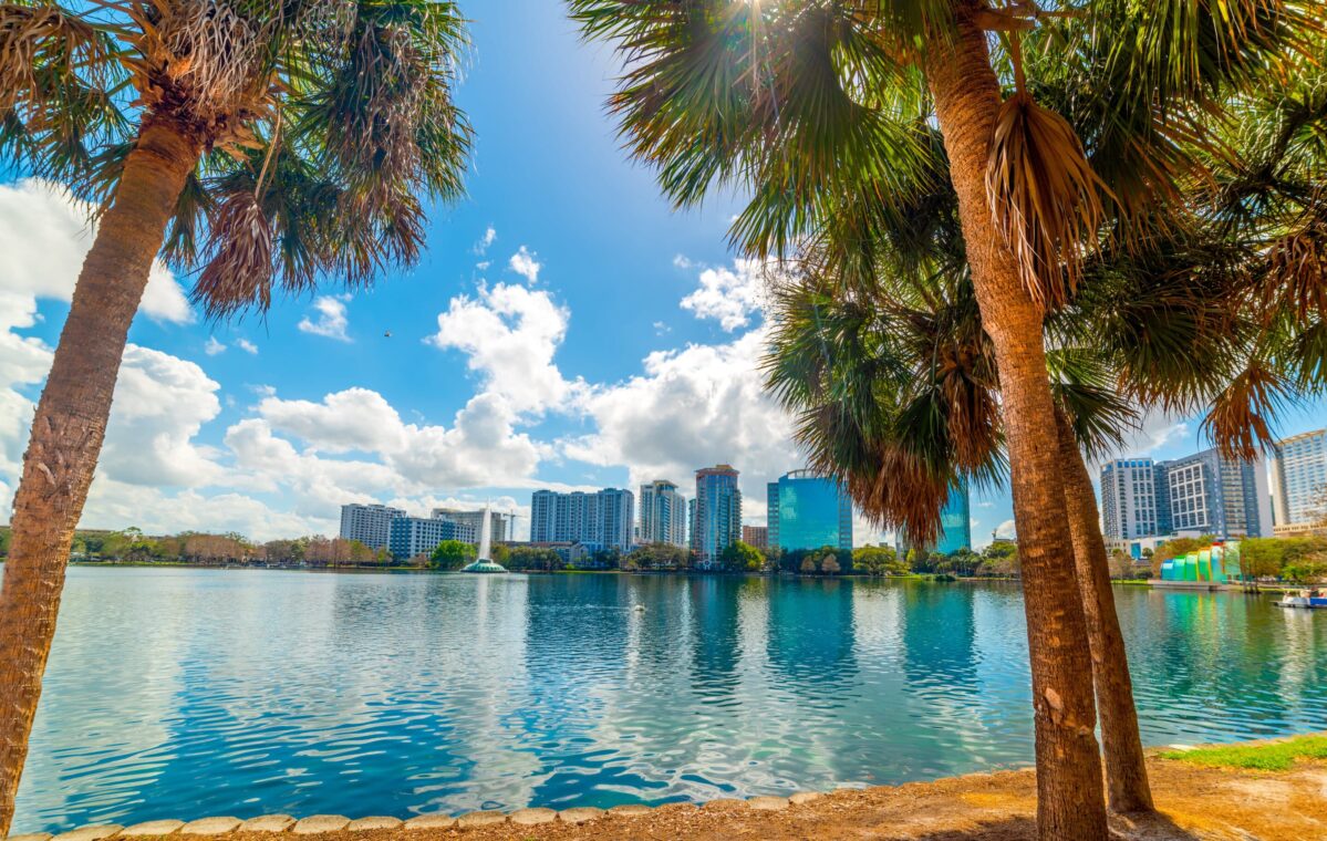 Municipal Roundtable | Florida Urban Forestry Council
